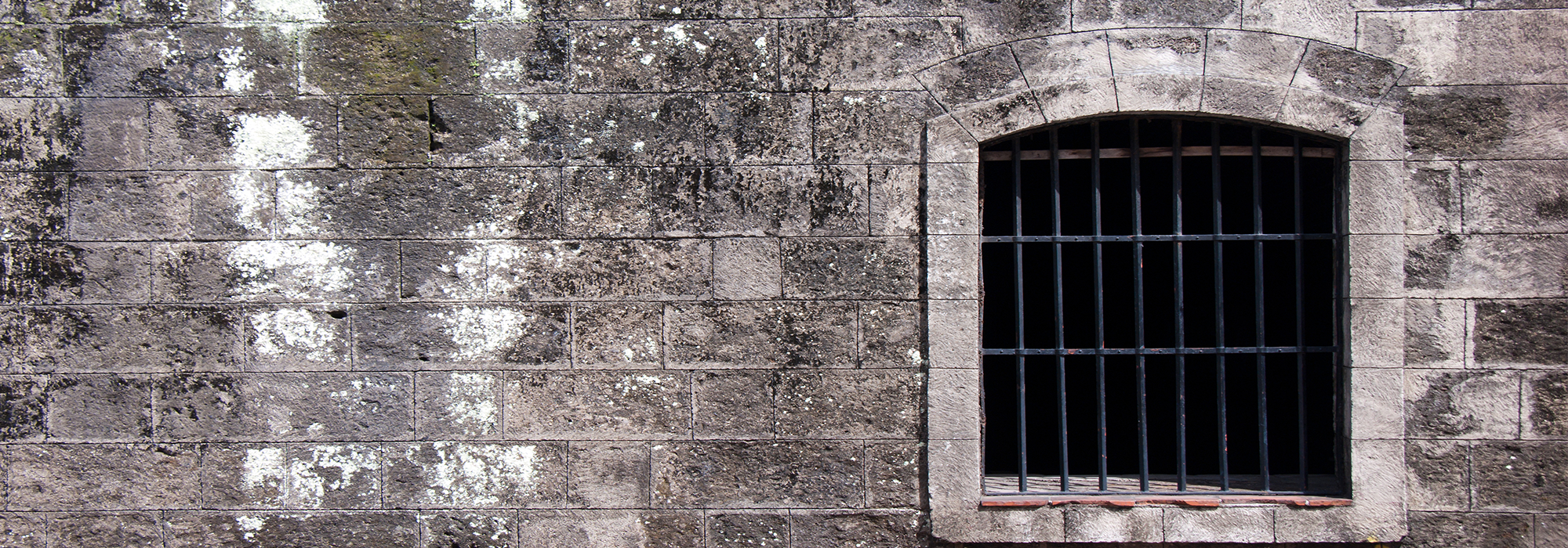 Legislative history, statutory purposes, and constitutional overbreadth